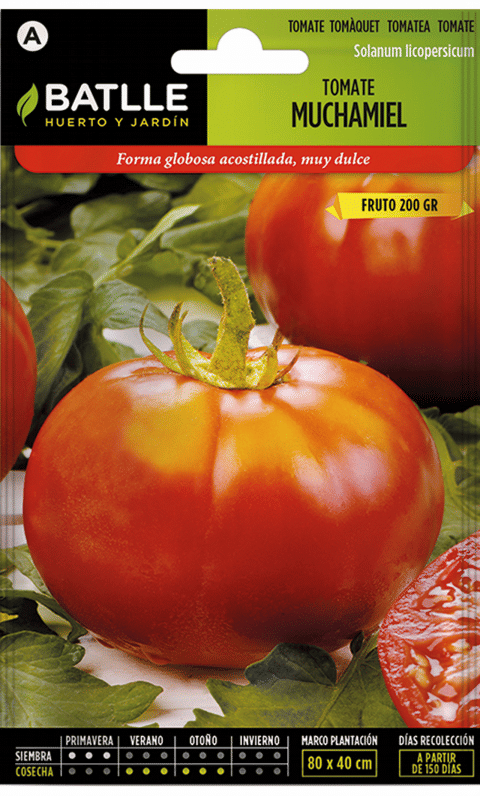 Semillas Tomate Muchamiel - Abonos Calsilla