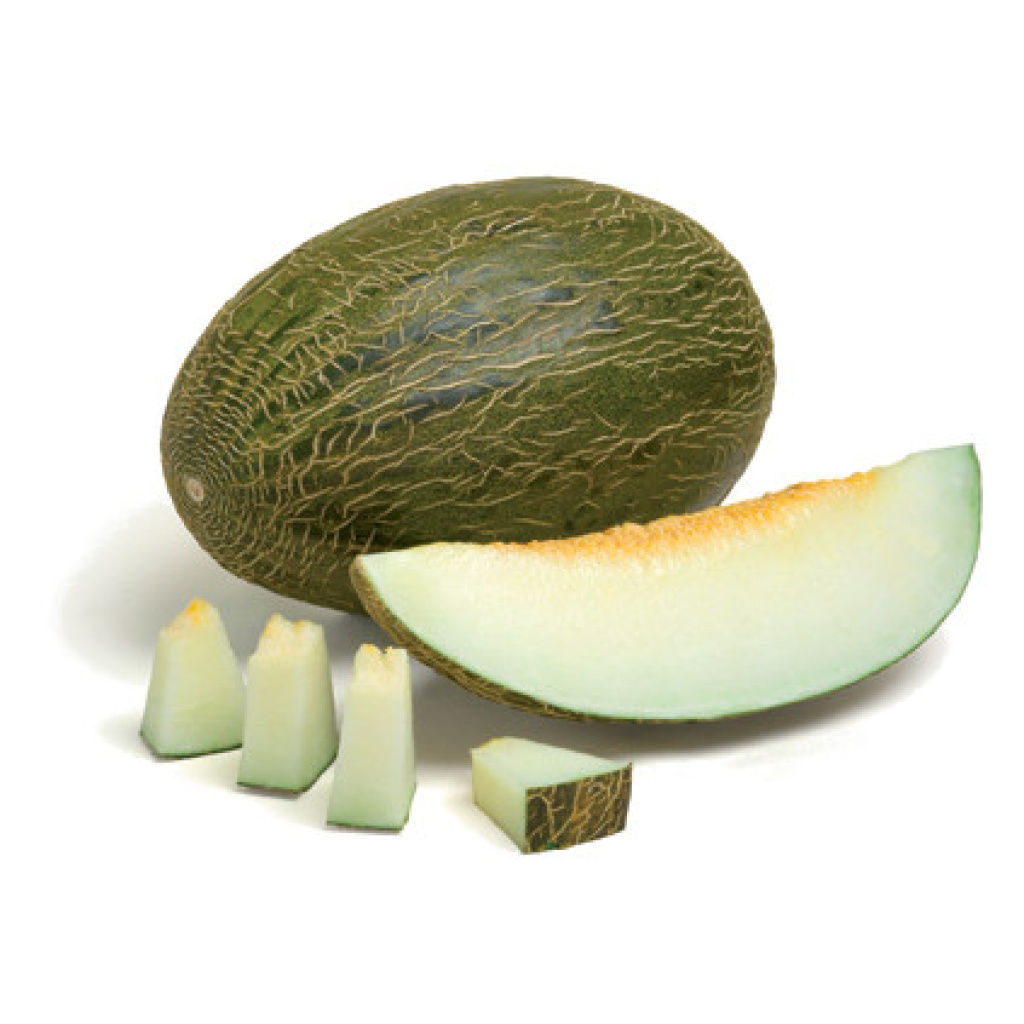 Plantel Melón Híbrido Sancho - Abonos Calsilla