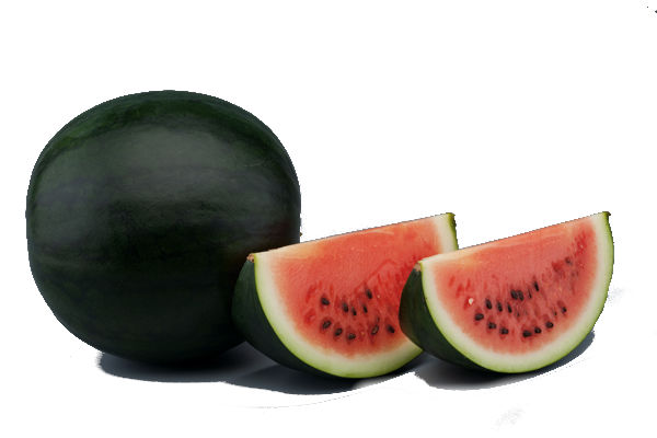 Plantel Sandía INJERTADA con Semilla - Abonos Calsilla