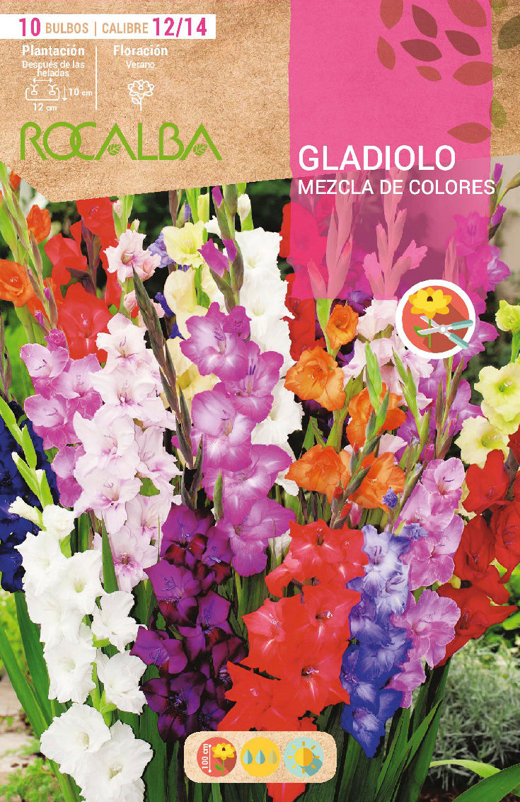 Bulbos Gladiolo Mezcla Colores Rocalba - Abonos Calsilla