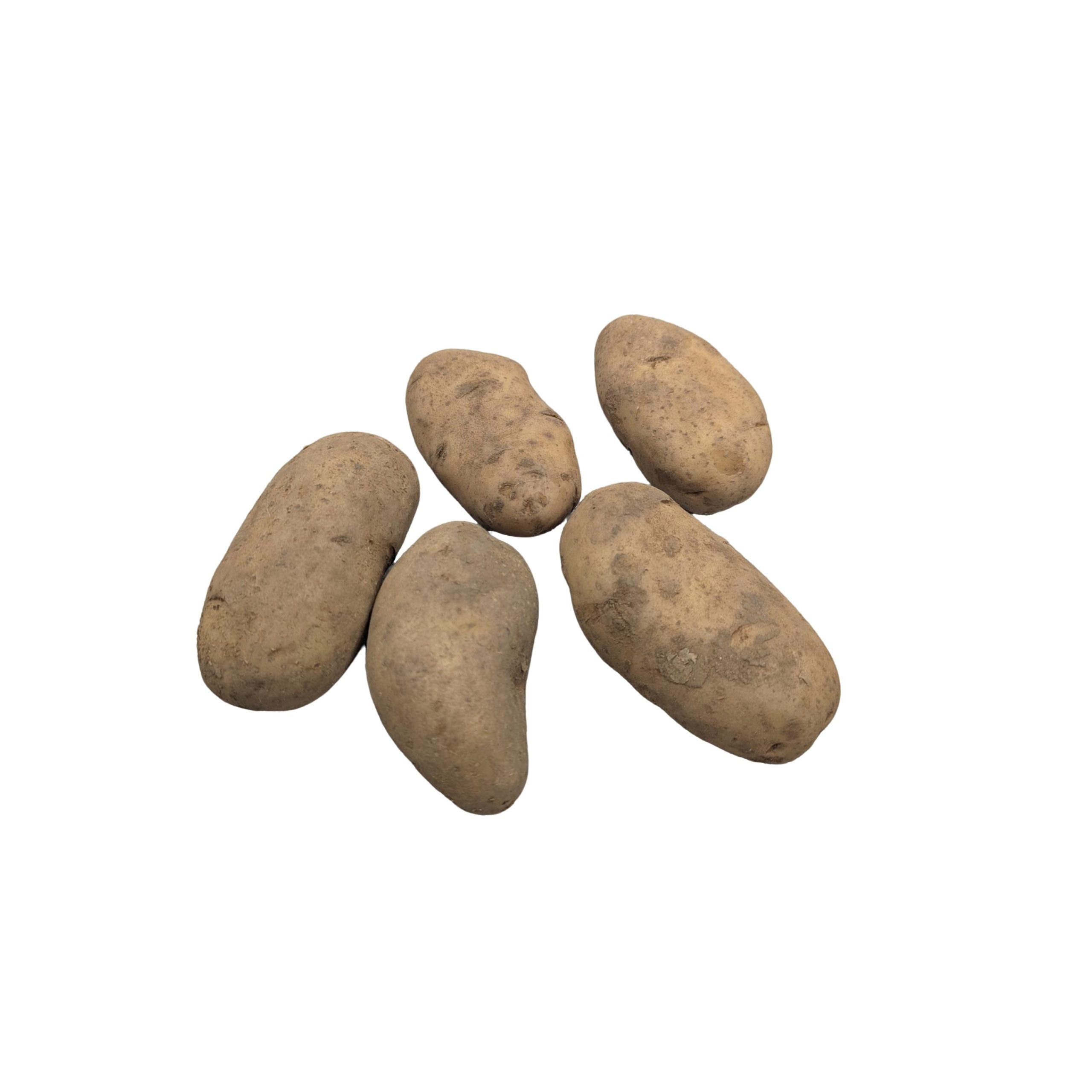 Patata Spunta para Siembra 1Kg - Abonos Calsilla