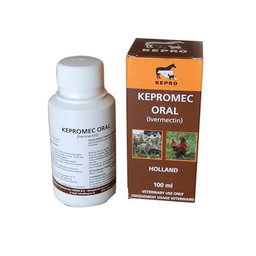 Scabies Pada Kelinci: Gejala, Pencegahan & Pengobatan » Danusyakti