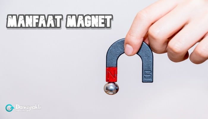 Manfaat Magnet Dalam Berbagai Aspek Kehidupan Manusia » Danusyakti