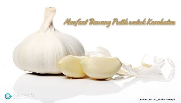 10 Manfaat Bawang Putih untuk Kesehatan dan Efek Samping » Danusyakti