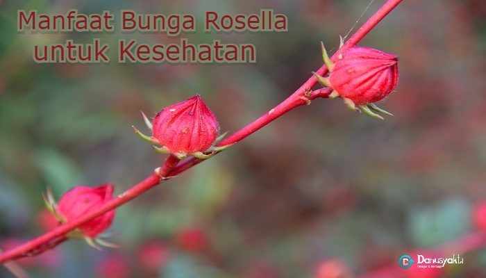 16 Manfaat Jus Nanas untuk Kesehatan dan Efek Samping