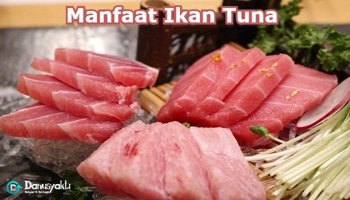 11 Manfaat Ikan Tuna dan Efek Samping » Danusyakti