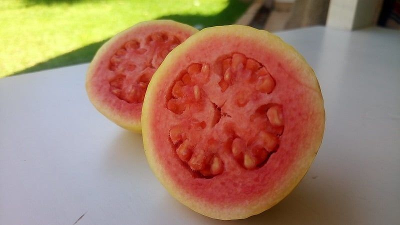 10 Manfaat Jambu Biji Merah dan Efek Samping