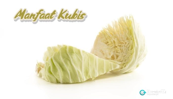 11 Manfaat Kubis dan Efek Samping » Danusyakti