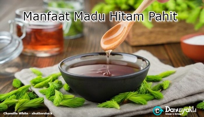 10 Manfaat Madu Hitam Pahit untuk Kesehatan » Danusyakti