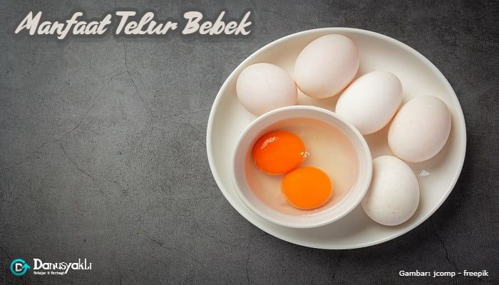 7 Manfaat Telur Bebek untuk Kesehatan dan Efek Samping » Danusyakti