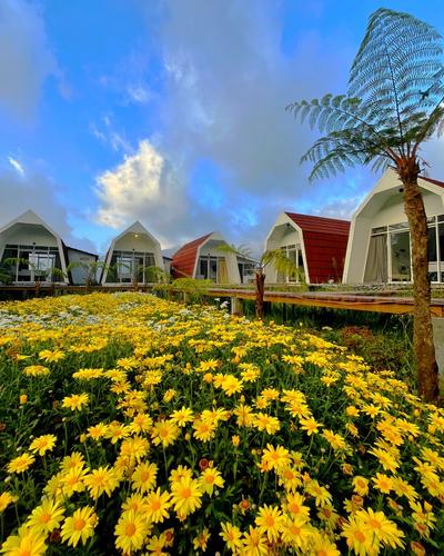 Glamping Diengcool — Homestay Dieng rekomended, Cek Harga dan Ketersediaan