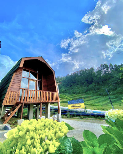 Reservasi Cabin, Cottage, villa dan Homestay di Dieng Kawasan Wisata Dieng