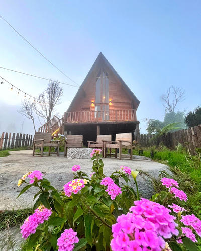 Reservasi Cabin, Cottage, villa dan Homestay di Dieng Kawasan Wisata Dieng