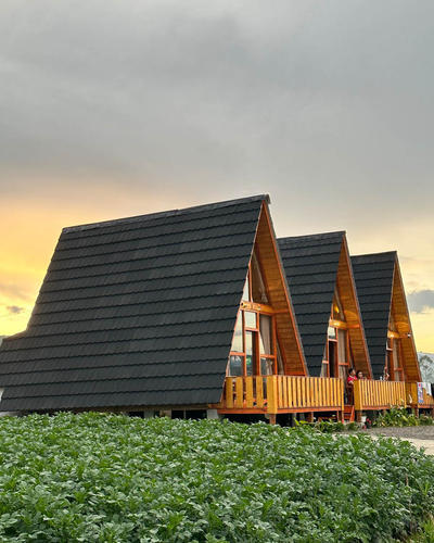 Reservasi Cabin, Cottage, villa dan Homestay di Dieng Kawasan Wisata Dieng