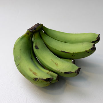 Jual Pisang Raja Bulu | Sayurbox