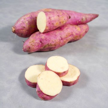 Jual Ubi Pink Beniazuma | Sayurbox