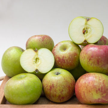 Jual Apel Cherry | Sayurbox