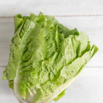 Jual Selada Romaine | Sayurbox