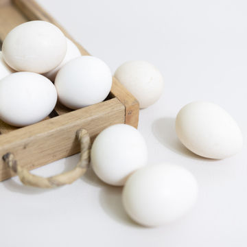 Jual Telur Ayam Kampung Selenium TST | Sayurbox