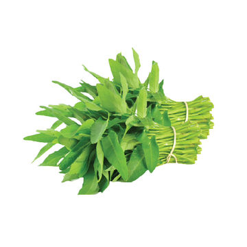 Jual Daun Gonda | Sayurbox