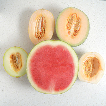 Jual Semangka dan Melon Setengah Potong | Sayurbox