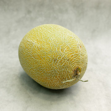 Jual Melon Sky Rocket Baby | Sayurbox