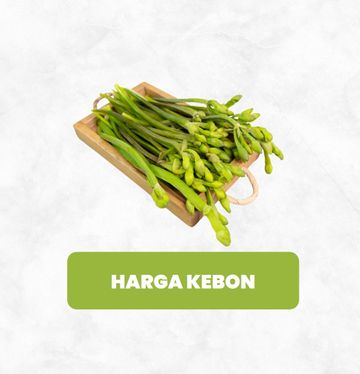 Jual Bunga Genjer | Sayurbox