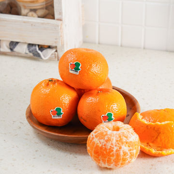 Jual Dinofresh Jeruk Wokam Impor | Sayurbox