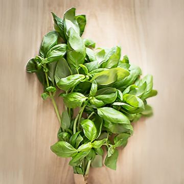 Jual Daun Basil Oriental Aquaponic | Sayurbox