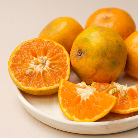 Jual Jeruk Medan | Sayurbox