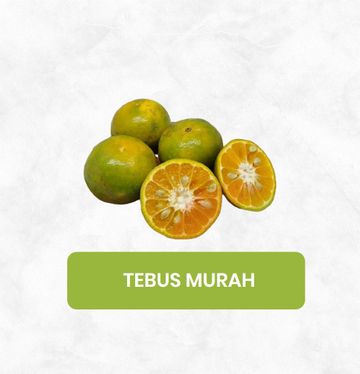 Jual Jeruk Medan Tebus Murah 1 kg | Sayurbox