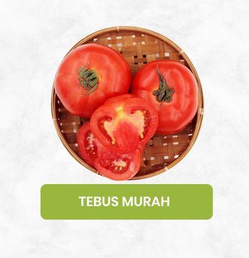 Jual Tomat Beef Hidroponik 500 g - Tebus Murah | Sayurbox