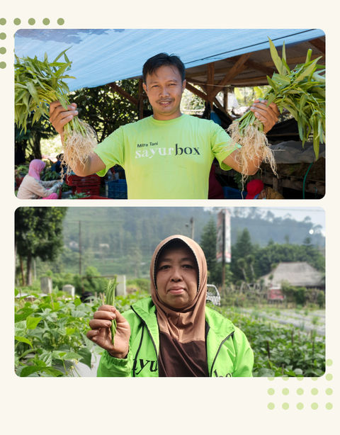 Registrasi Mitra Sayurbox | Sayurbox