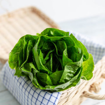 Jual Selada Romaine | Sayurbox