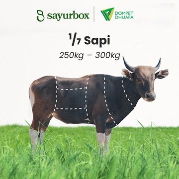 Jual Sapi Utuh 1/7 Bagian 250-300 kg | Sayurbox
