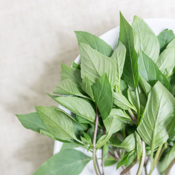 Jual Daun Basil Thai Hidroponik | Sayurbox