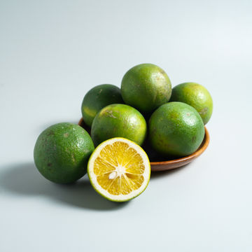 Jual Jeruk Java | Sayurbox