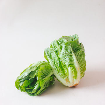 Jual Selada Romaine | Sayurbox
