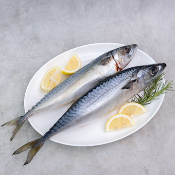 Jual Ikan Mackerel Saba Atlantic Japan Golden Seafood | Sayurbox