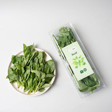 Jual Sayurbox Fresh Daun Basil Premium | Sayurbox