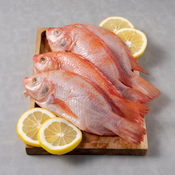 Jual Ikan Nila Merah Unisia | Sayurbox