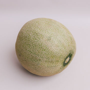 Jual Melon Sky Rocket | Sayurbox