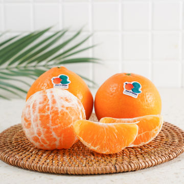 Jual Dinofresh Jeruk Honey Beauty Impor | Sayurbox