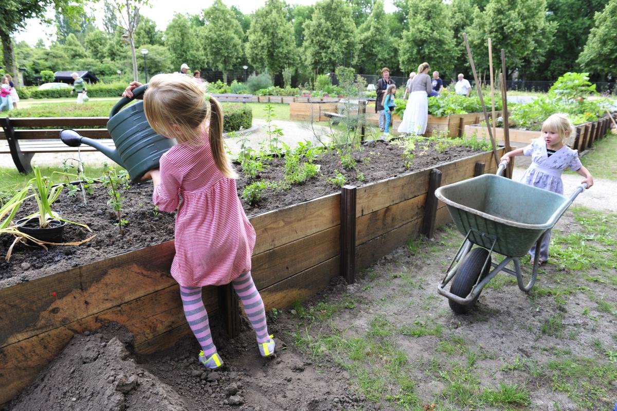 Vacature vrijwilliger Buurttuin De Graanhof | Apeldoorn Pakt Aan