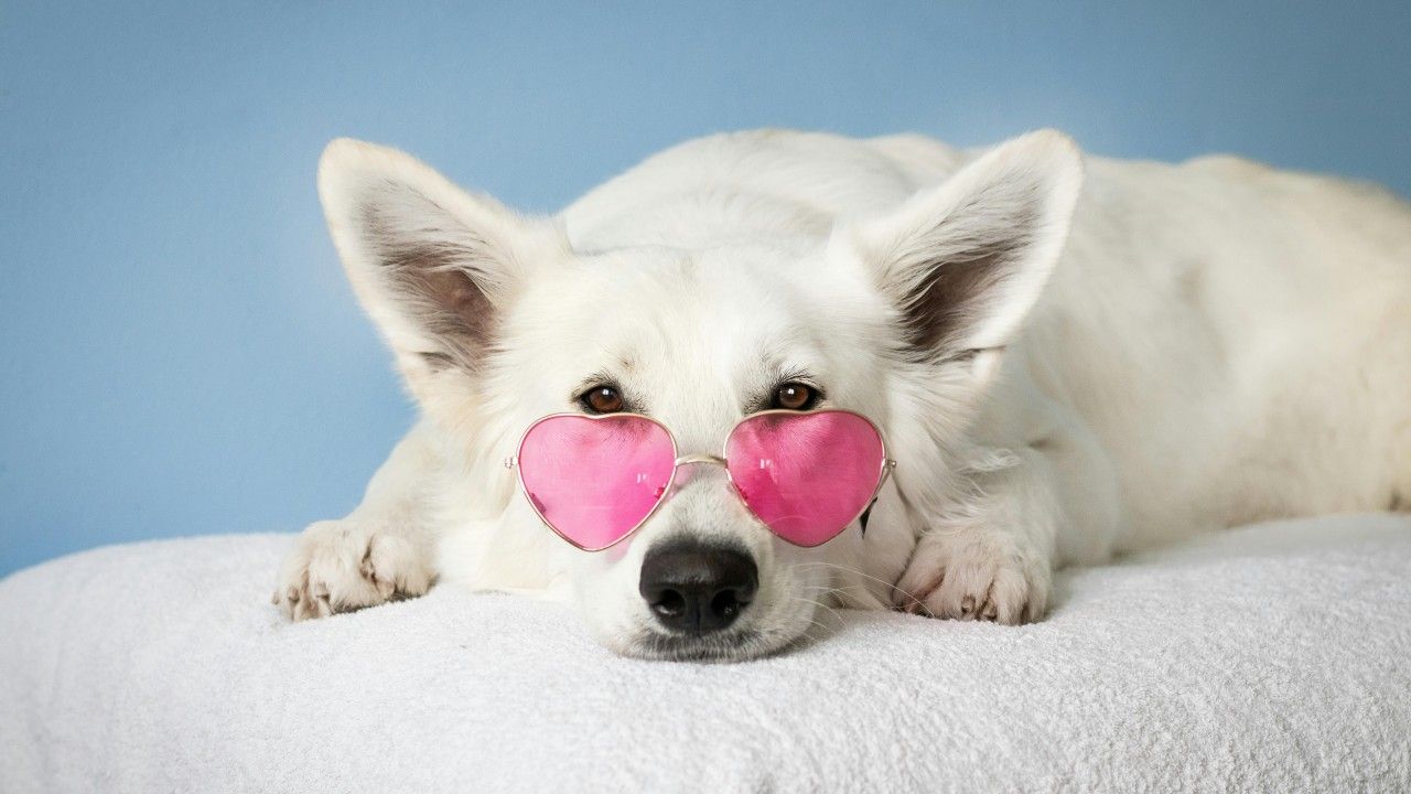 Heart over head : Taking liberties in business | VolunteerCambs!