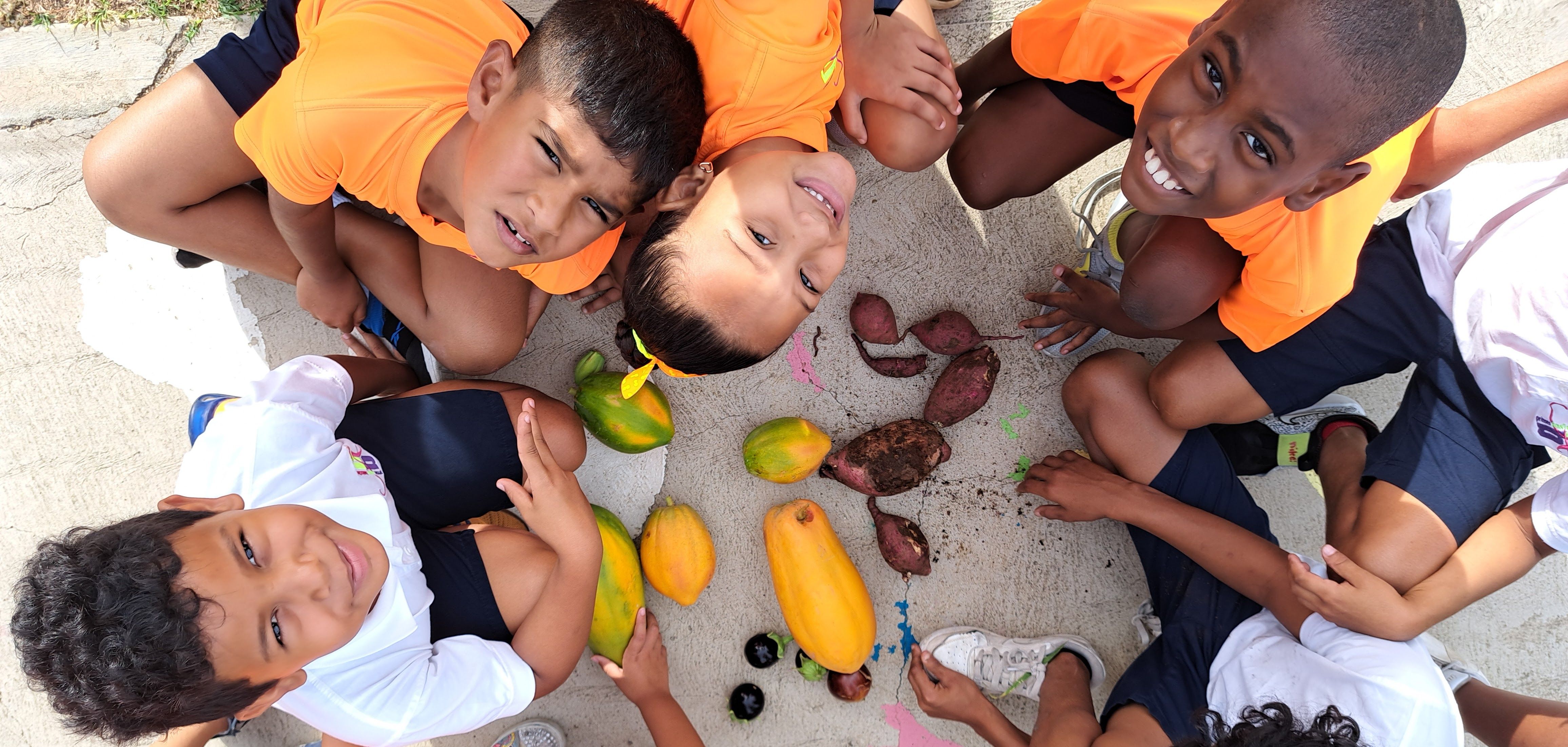 Join Our School Harvest Cooking Team! | Aruba Volunteers