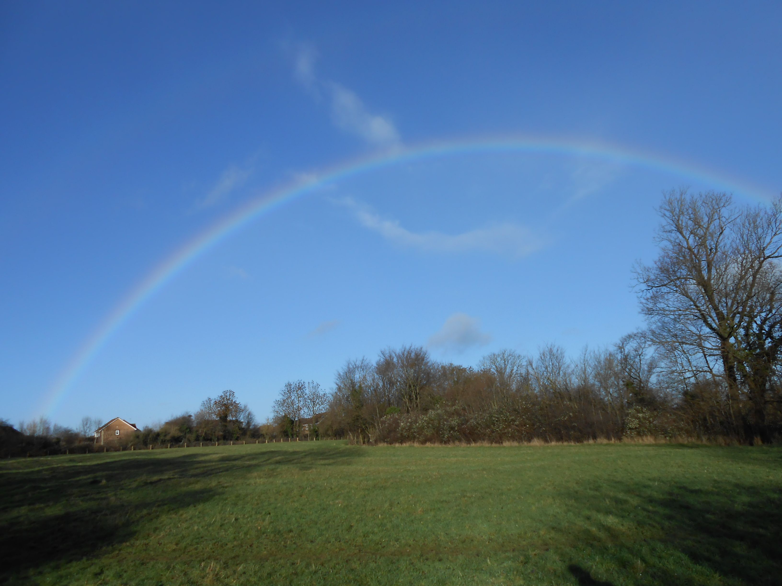 Hedge Restoration - Friday 13 February - Hucclecote Meadows | Go ...
