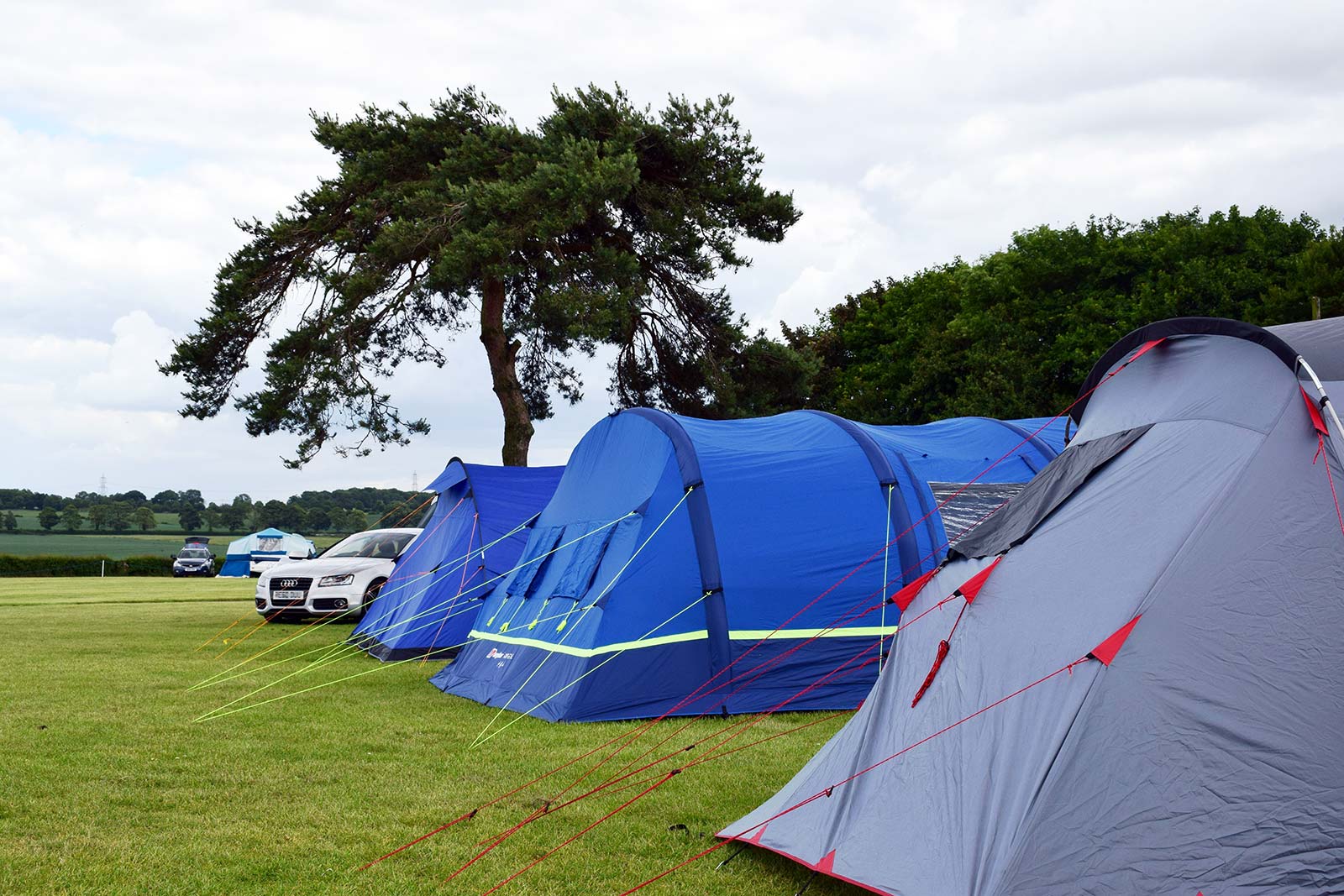 Camp Warden | Go-Vip