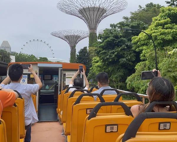 City Tours: FunVee Singapore Night Tour by Open-Top Bus