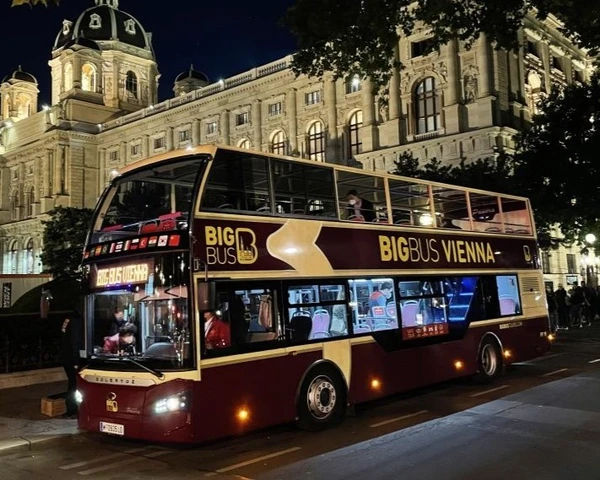 Vienna Sightseeing: Vienna Night Panorama Tour